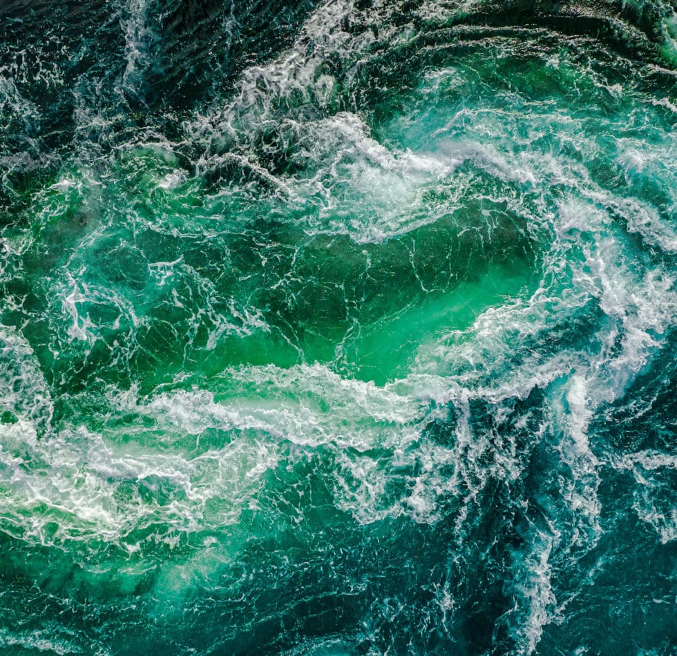 SHIFT™ - High End Supplements